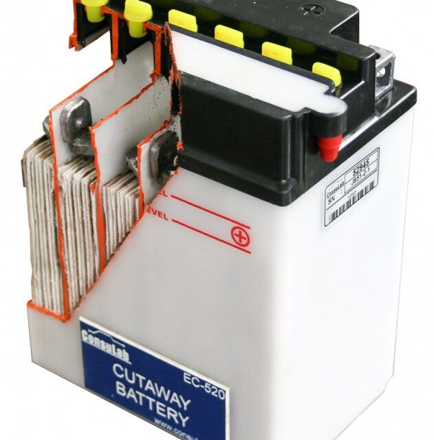 Cutaway Battery - IES Teach